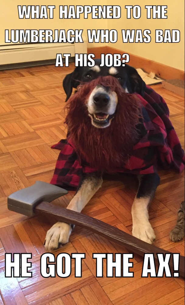 Corny Dog Jokes: Lumberjack Edition – Travels with Choppy