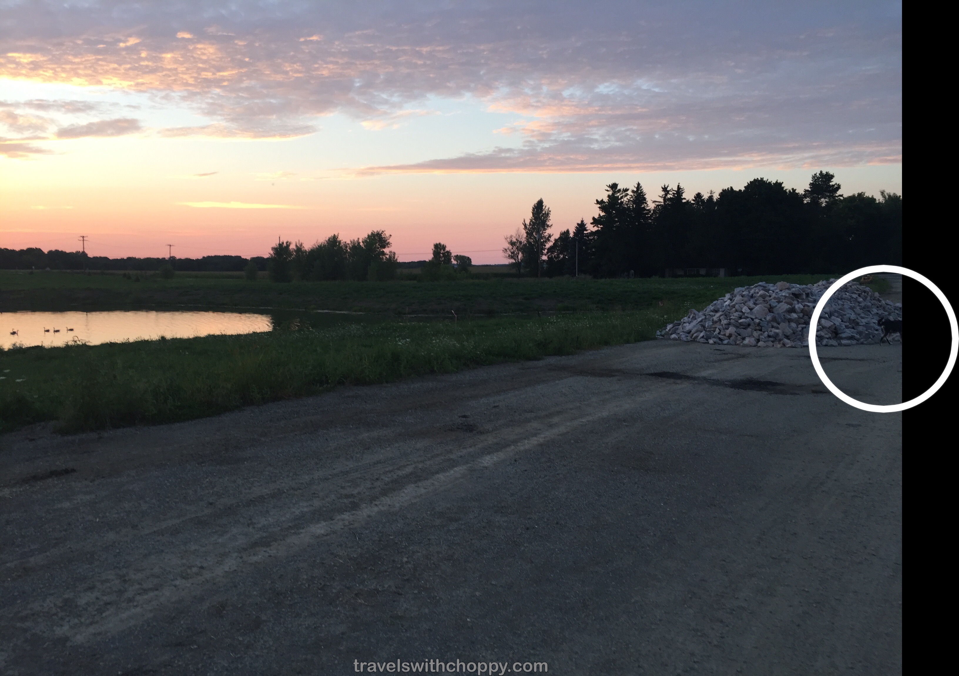 Here’s Choppy – Pond at Sunset Edition – Travels with Choppy