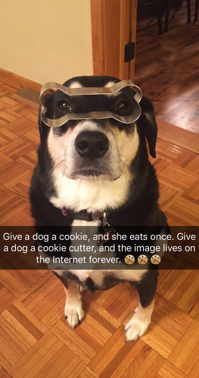 Howlidays: Cookie Cutter Week – Travels with Choppy