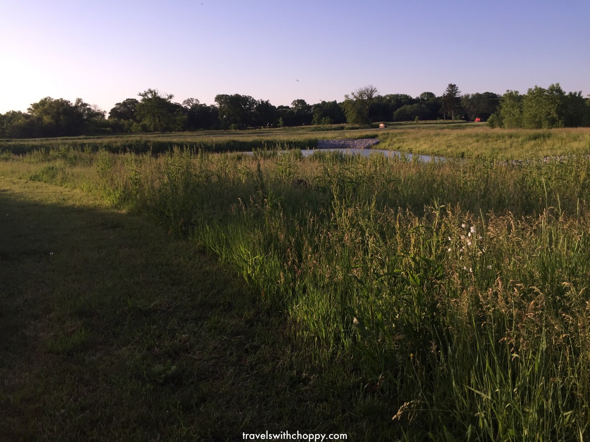 Where’s Choppy: Pre-Pond Edition – Travels with Choppy