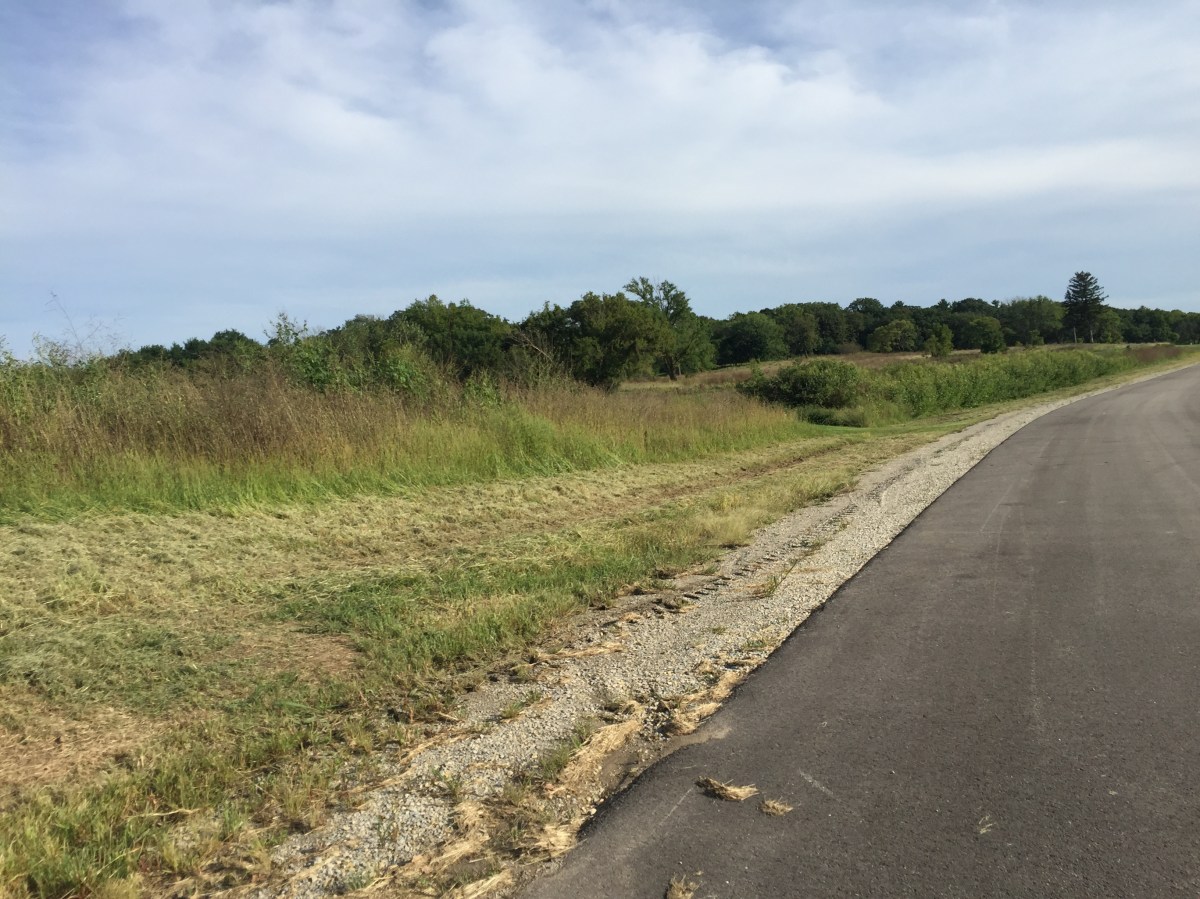 Where’s Choppy: Summer Grass – Travels with Choppy